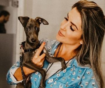 Dermatologia Veterinária em Porto Alegre | Centro Veterinário Barão do ...